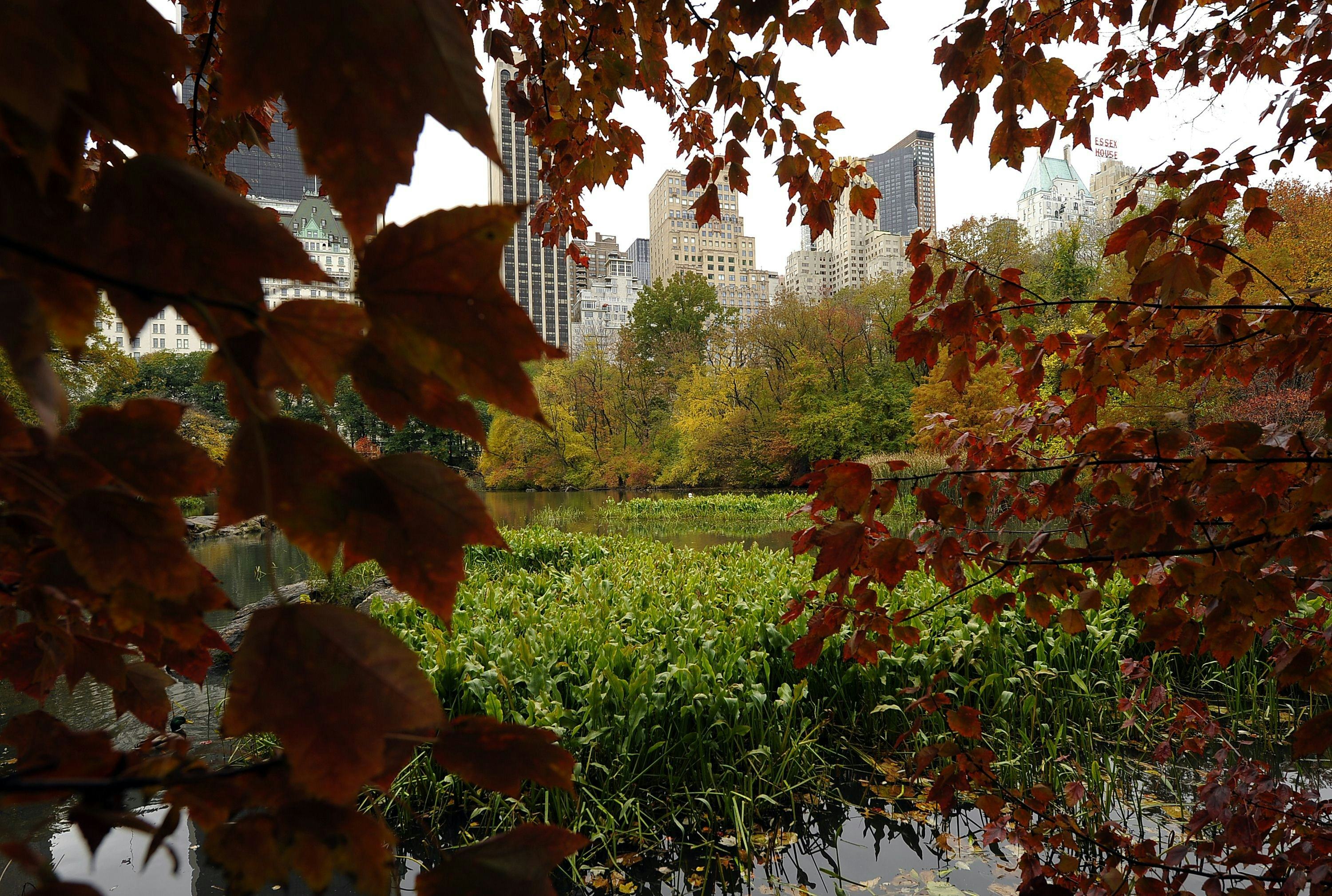 9 Reasons Why You Should Take Up Reading Again In Fall