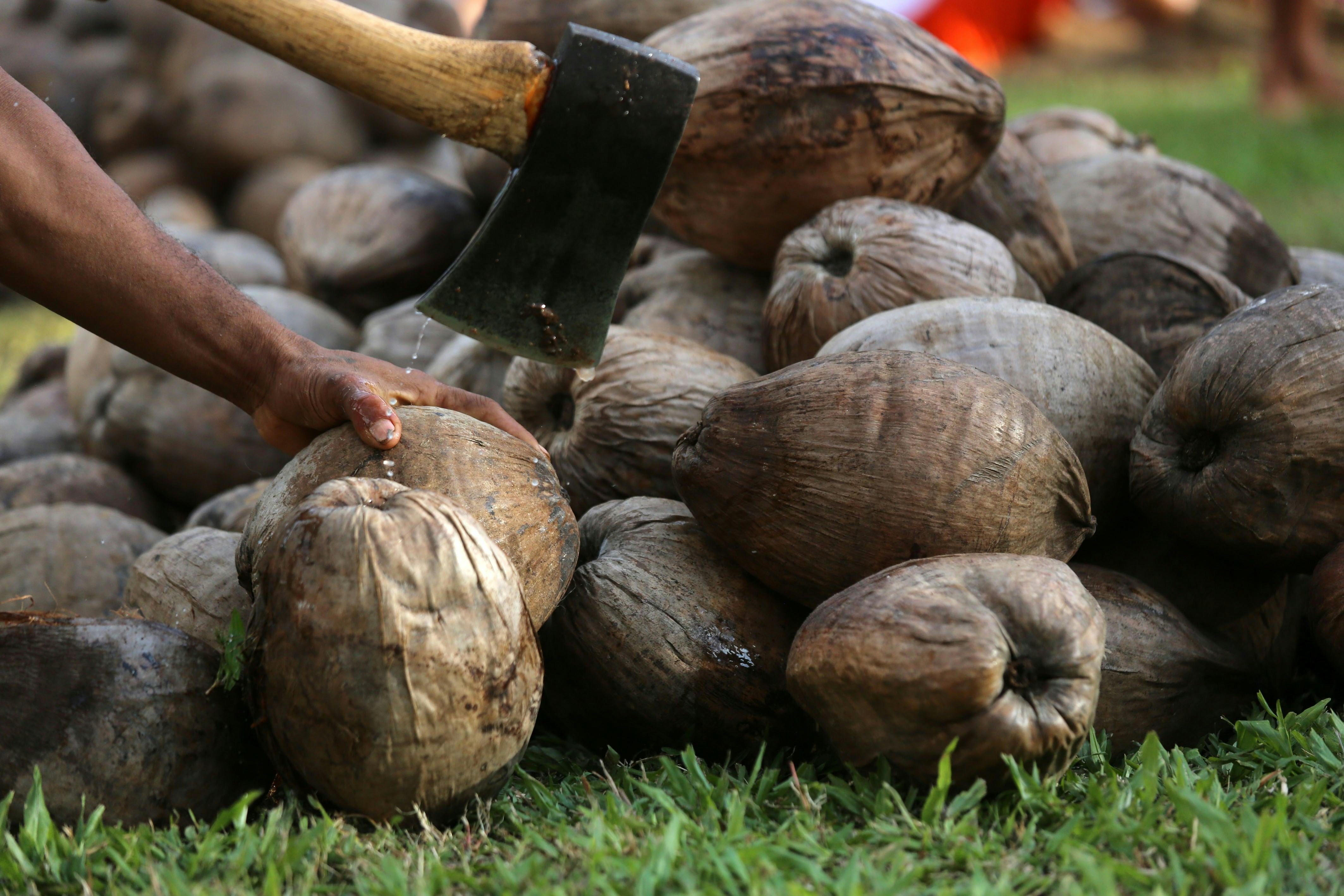 What Is Fractionated Coconut Oil? Everything You Need To Know About ...