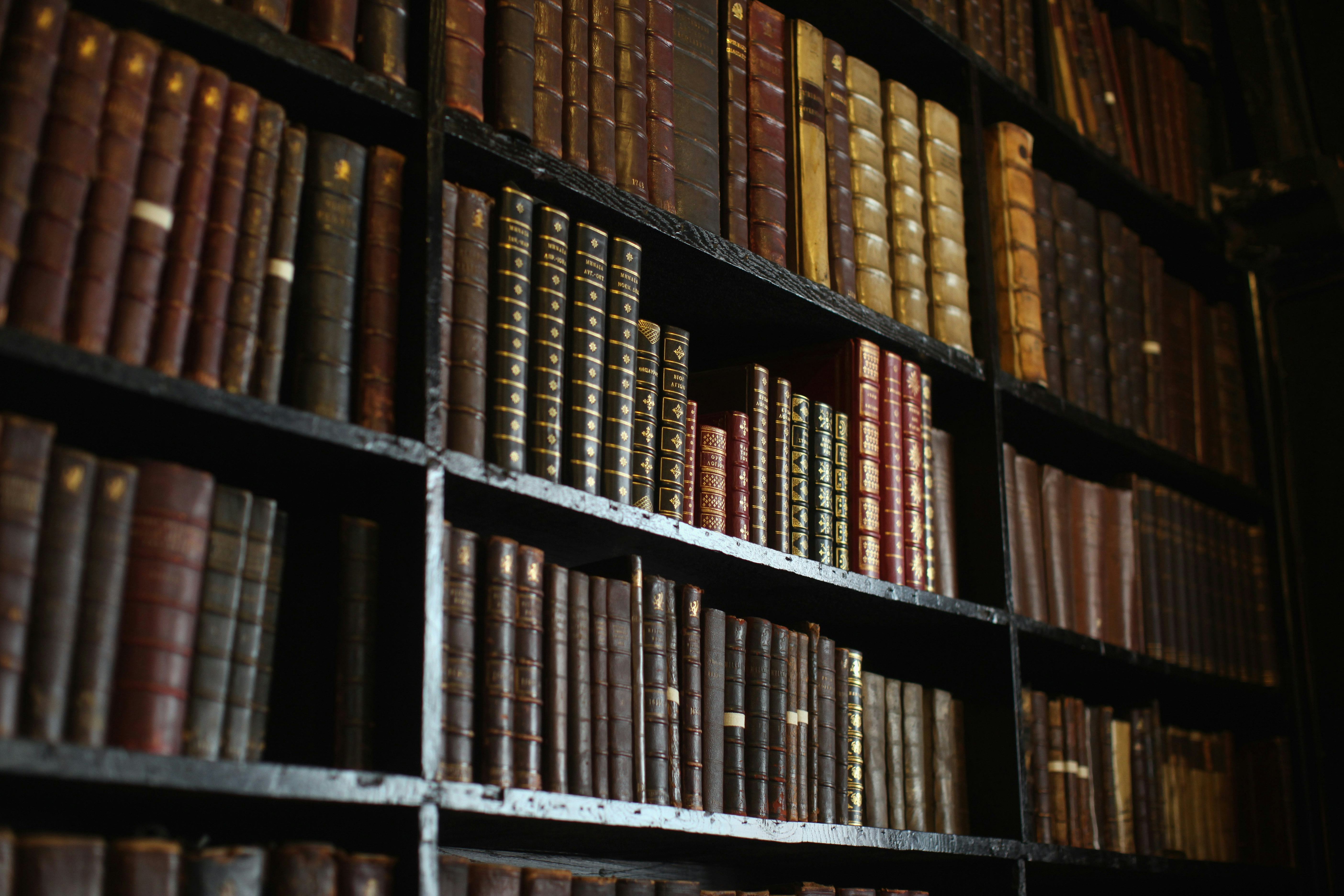 Your Necessary 'Daria' Reading List, From 'Breakfast of Champions' to ...