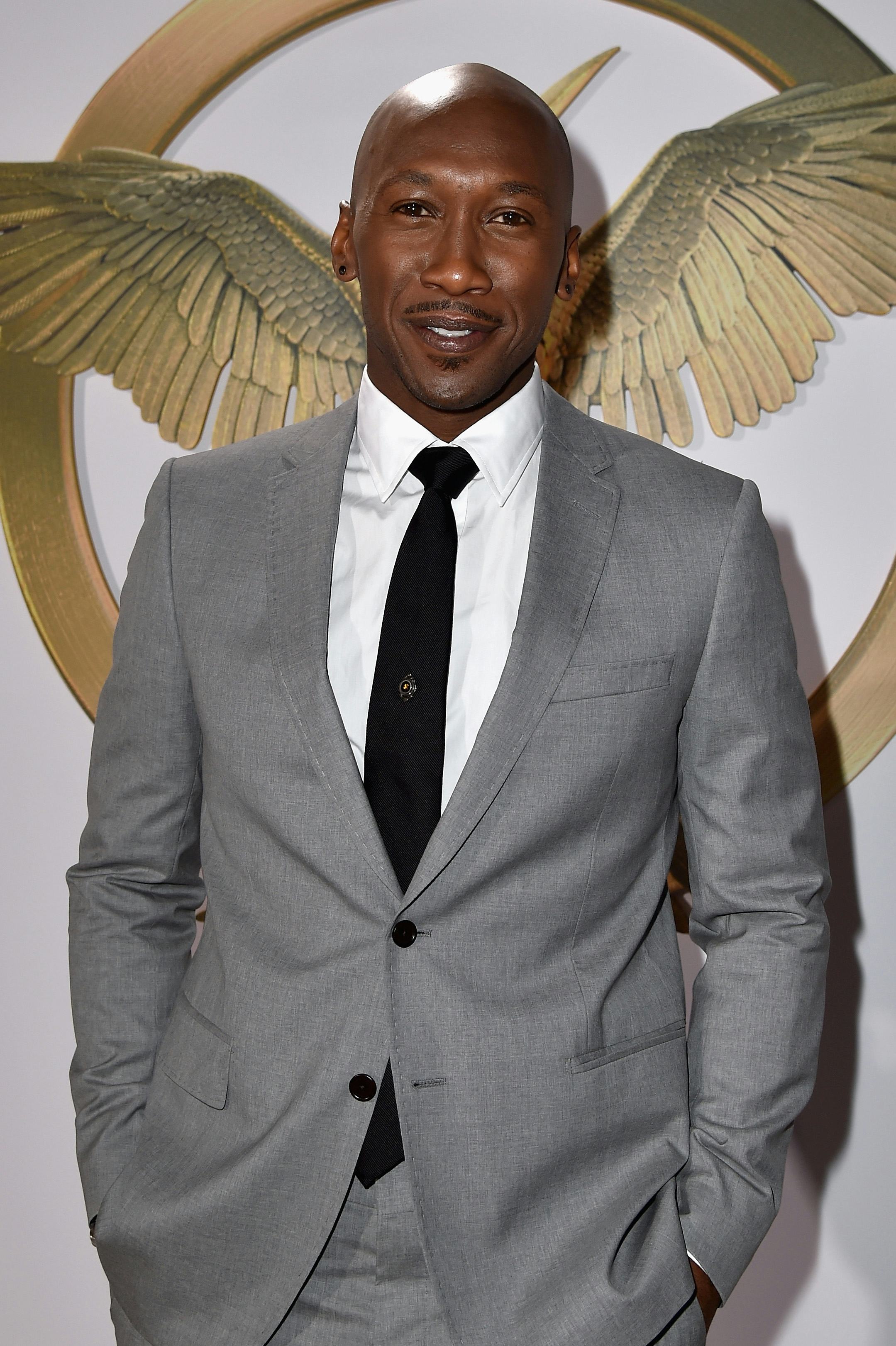 Who Plays Boggs in 'Mockingjay'? Mahershala Ali Has Been All Over Your TV