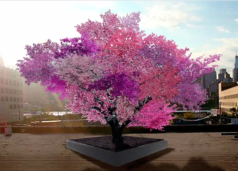 Sculptor Sam Van Aken's Tree Of 40 Fruits Will Satisfy All Your Peach ...