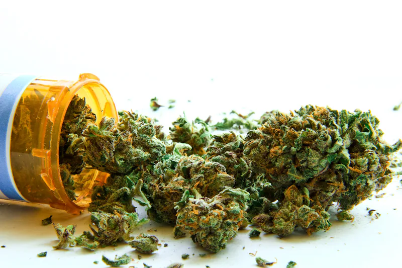 Marijuana Reduces Cancer Growth, New Study Shows, In Case You Needed ...