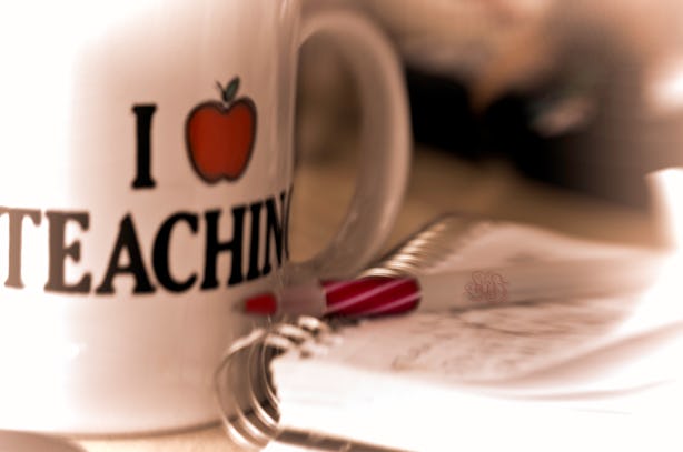 16 Teacher Appreciation Week Quotes That Perfectly Sum Up Why Teachers ...