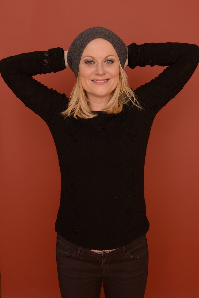 In 'Yes Please,' Amy Poehler Proves She's Our Everywoman Hero