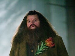 9 Reasons Hagrid Is The Best Harry Potter Character