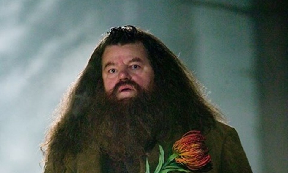 9 Reasons Hagrid Is The Best Harry Potter Character 9-reasons-hagrid-is-the-best-harry-potter-character