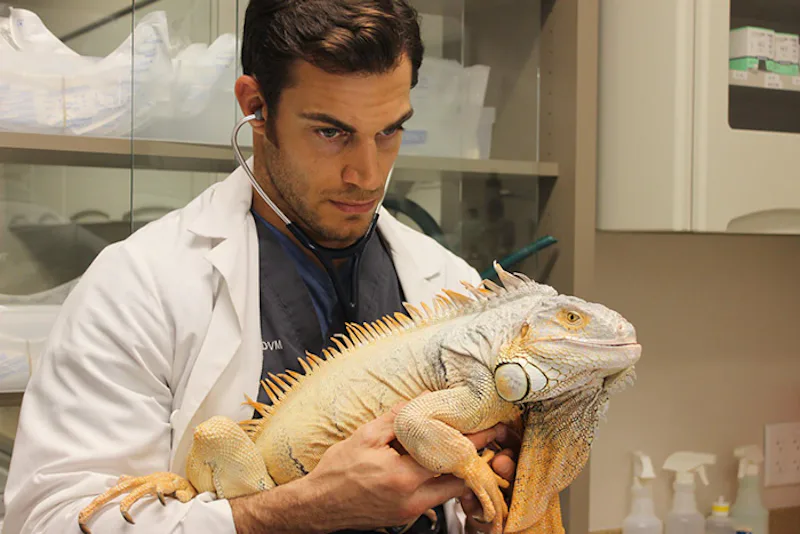 Dr. Evan, The Hottest Vet In The World, Literally Wins Instagram