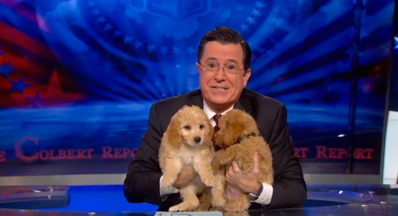 A Definitive Ranking of the 48 Things Under Stephen Colbert's Desk