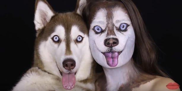 Dog Makeup Tutorial By Ilana Makeup Artist Will Impress You & Give You ...
