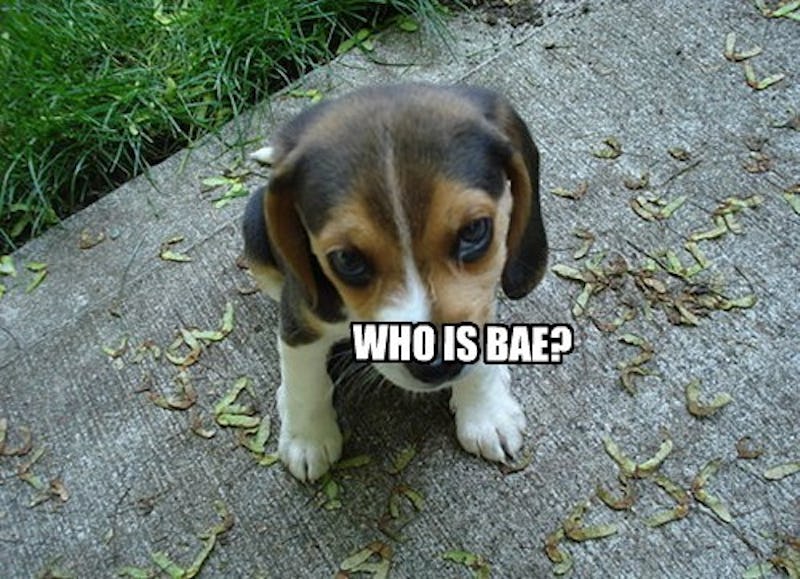 What Does "Bae" Mean, And Are You Using It Correctly?
