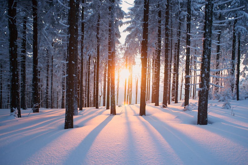20 Snow Quotes To Help You Find Beauty In Any Blizzard — Including ...