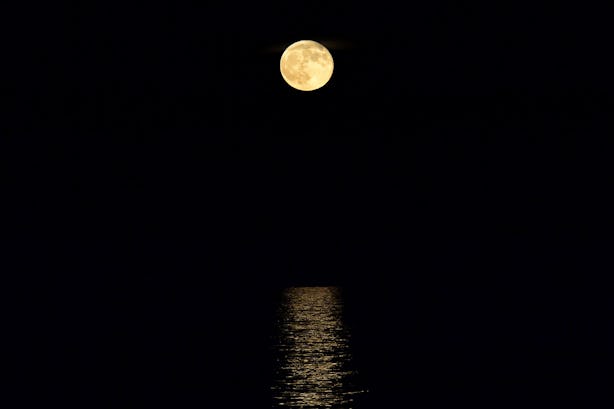 What Does The Beaver Moon Look Like? Despite Its Extraordinary Name, It ...