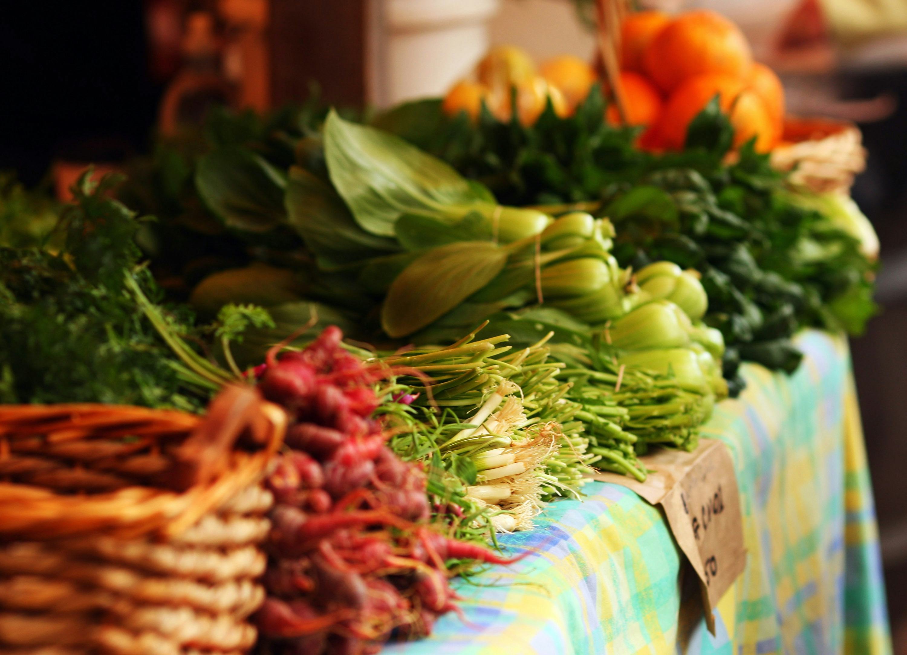 The World Is Wasting Tons Of Food, So Here Are Five Ways You Can Reduce ...