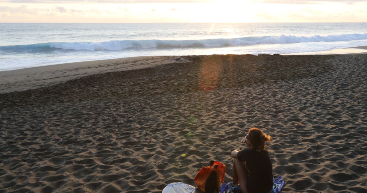 What Is Reunion Island Famous For MH370 Debris Might Have Been Found There But There s Much what-is-reunion-island-famous-for-mh370-debris-might-have-been-found-there-but-there-s-much