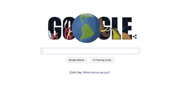 Taking Google's Earth Day "What Animal Are You" Quiz Might Be The Most ...