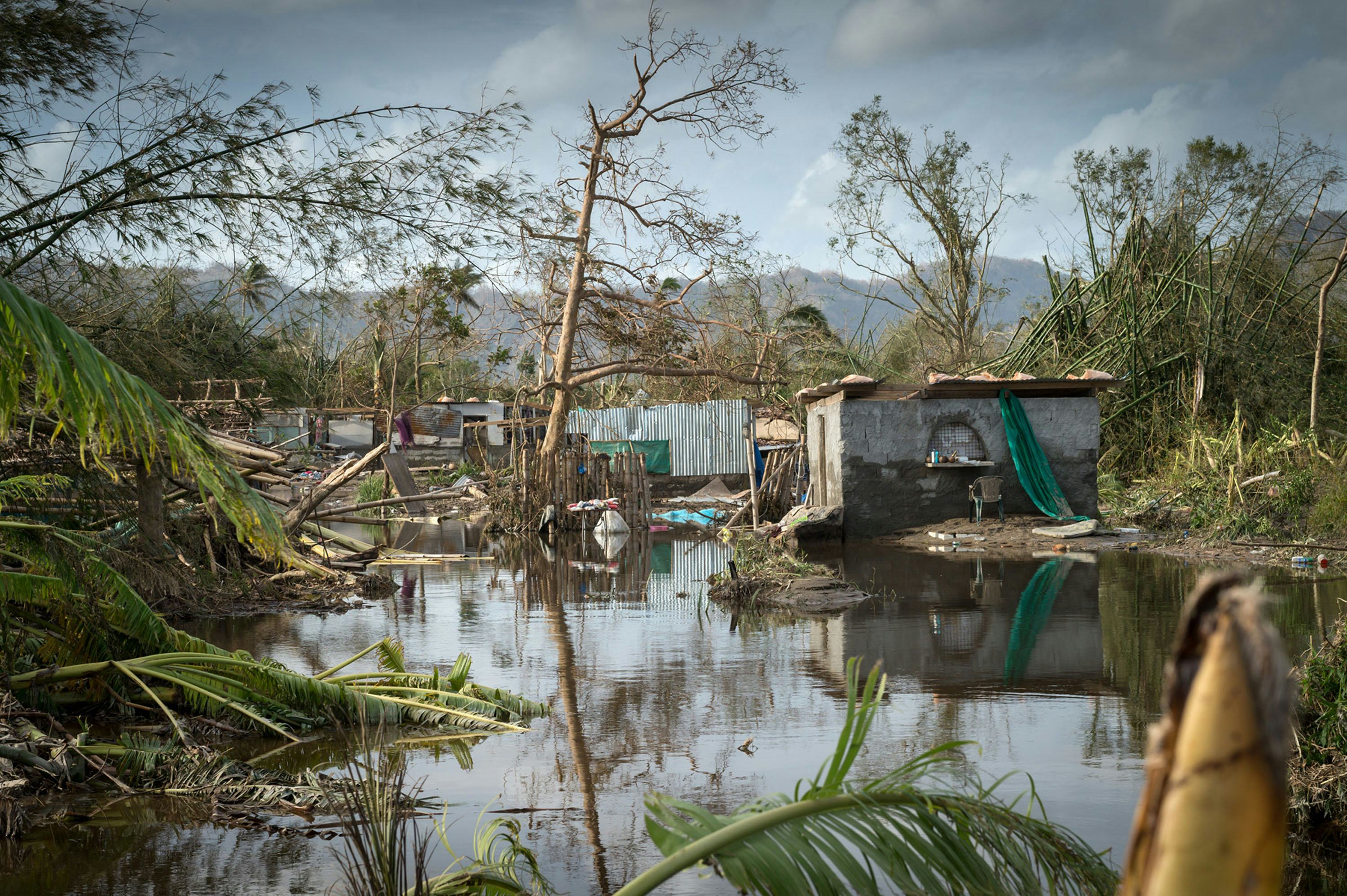 How To Donate To Vanuatu After The Cyclones Shattered The South Pacific ...