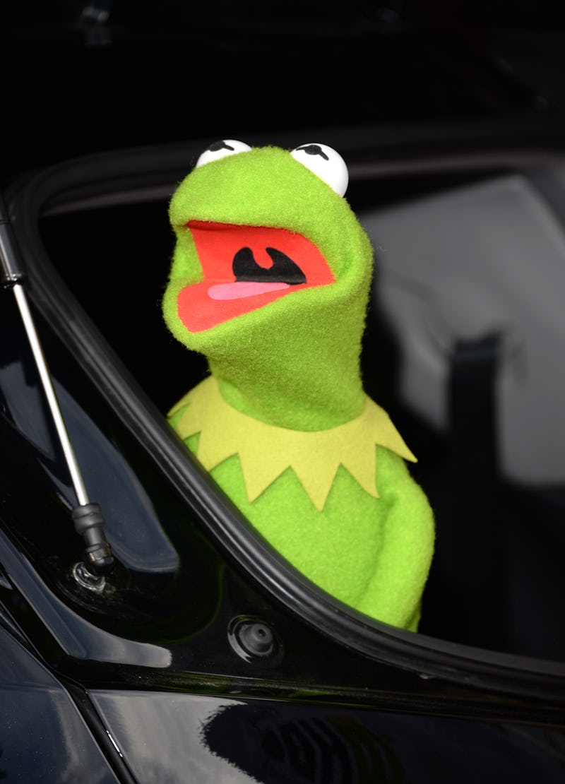 Kermit the Frog Does the Ice Bucket Challenge Because Even Muppets Want ...