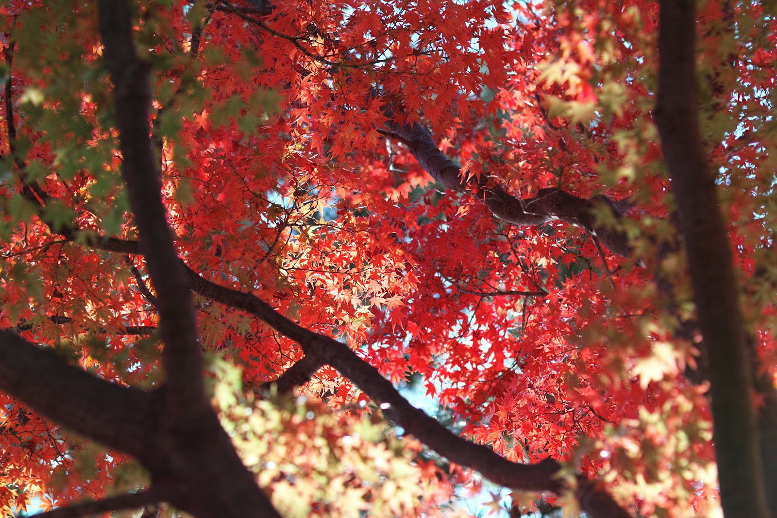 15 Fall Quotes To Read On The First Day Of Autumn