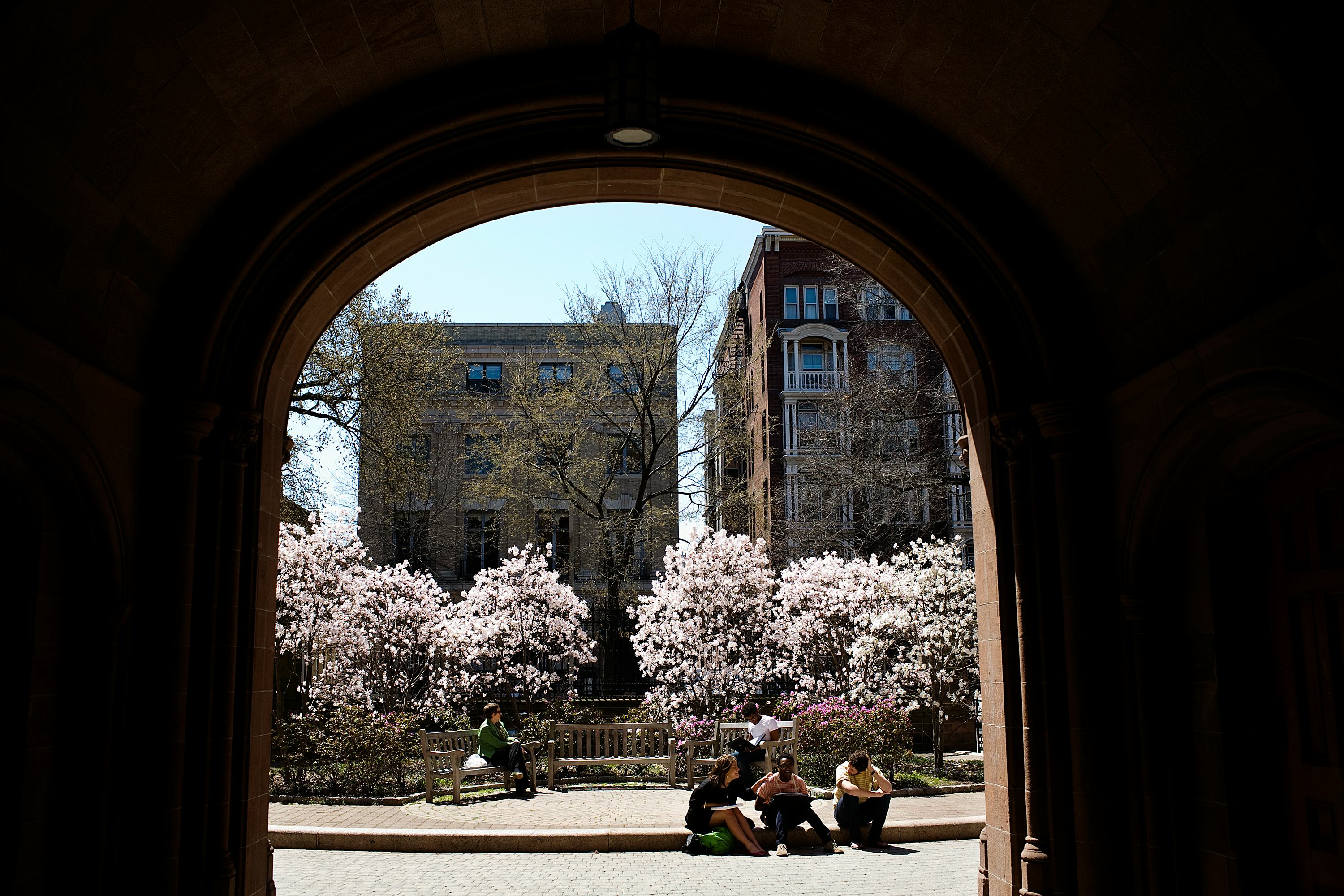 What Are The Yale Protests About? There's More To The Situation Than ...