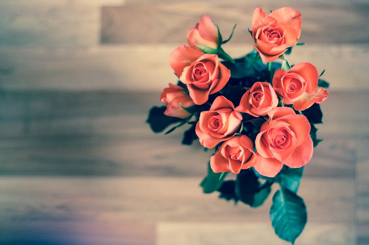 How To Use Rose To Make All Sorts Of Excellent Beauty Products — PHOTOS