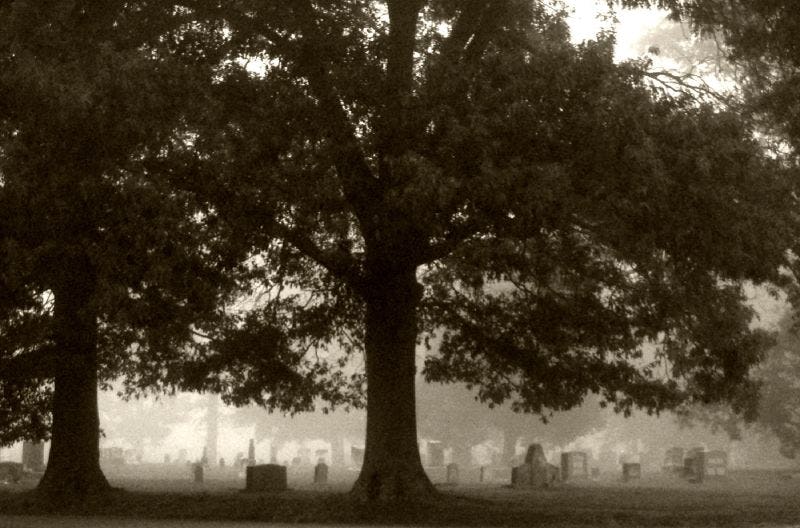 The 6 Weirdest Deaths In History Remind Us Of Our Own Fragile Mortality