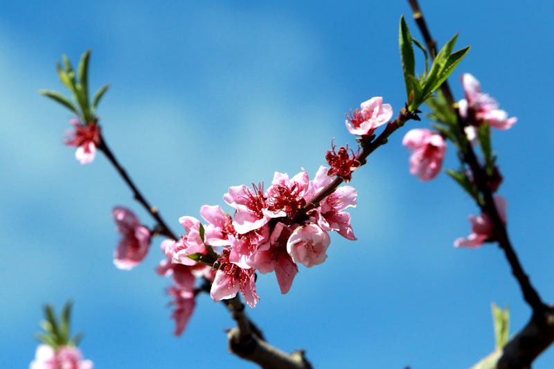 Snow On The First Day Of Spring Isn't As Unusual As You Would Hope