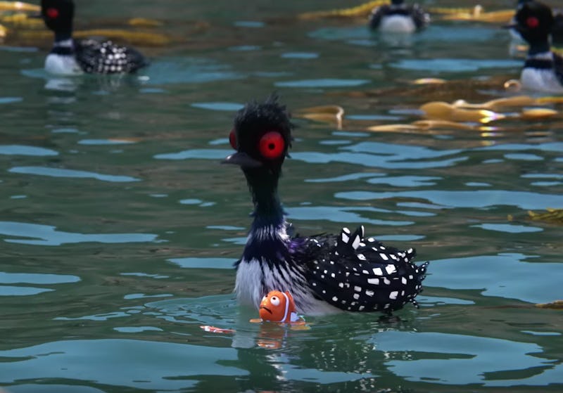 Becky Steals The Show In 'Finding Dory' & Joins The List of Pixar Movie ...