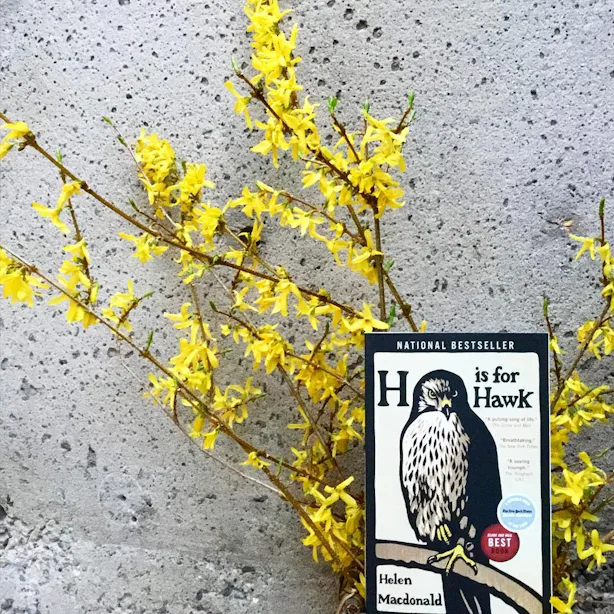 15 Beautiful Opening Lines From Literature All Wordsmiths Can Appreciate