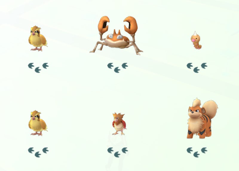 What Do The Footsteps Mean In "Pokemon Go"? How To Track Pokemon Using Them