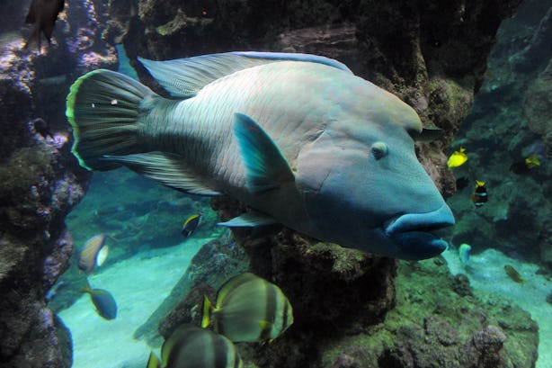 What Does "Finna" Mean? Here's Everything You Need to Know About The ...