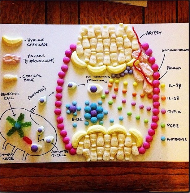 The Candy Anatomy Instagram Is Your New Favorite Way To Study The Human ...