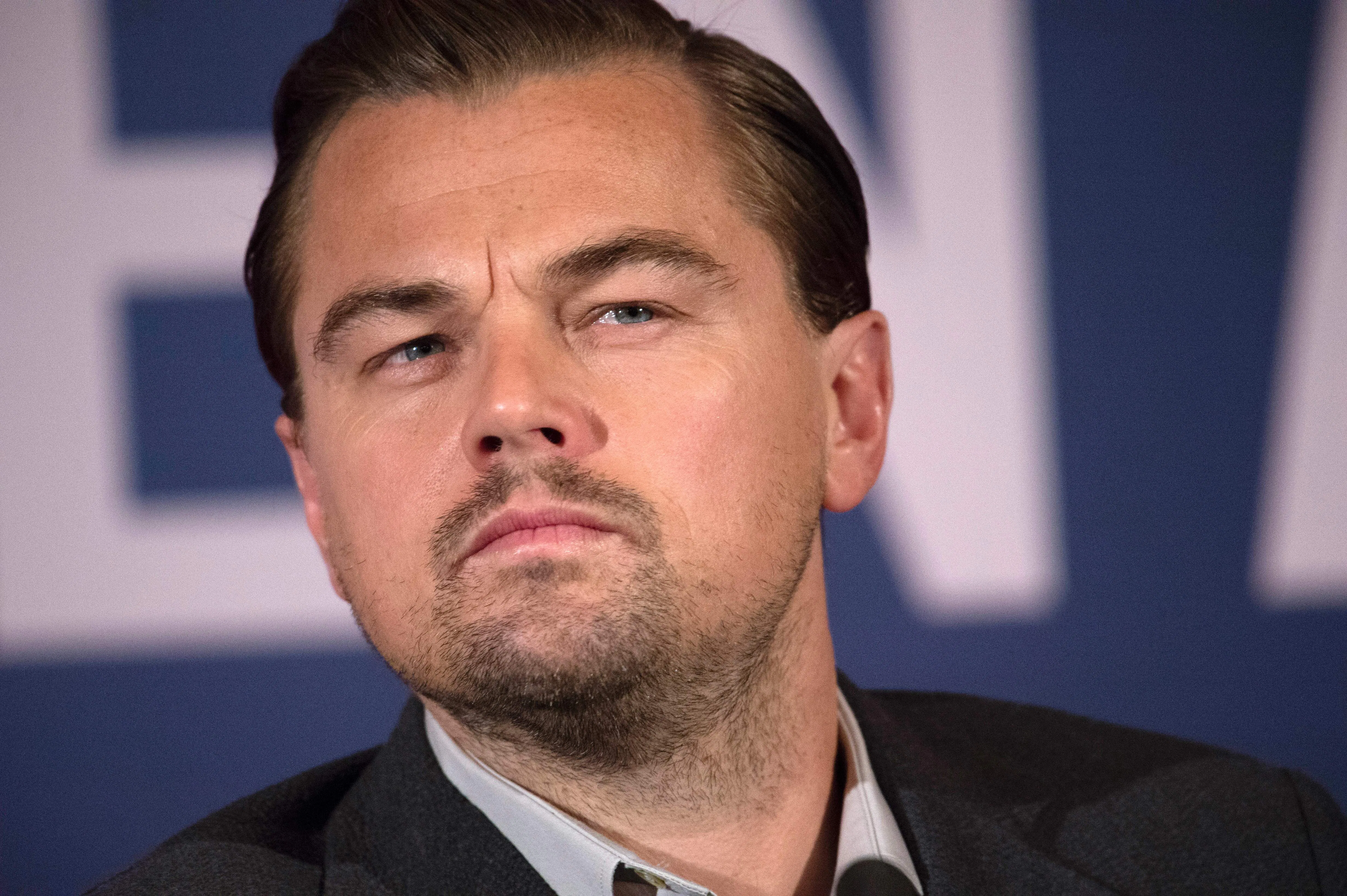 Leonardo DiCaprio's Oscar Snubs Don't Hurt Him As Much As They Hurt You