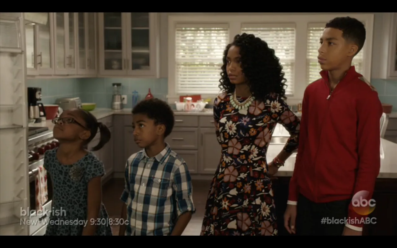 On 'black-ish,' the Johnsons Find the Difference Between Comfortable ...