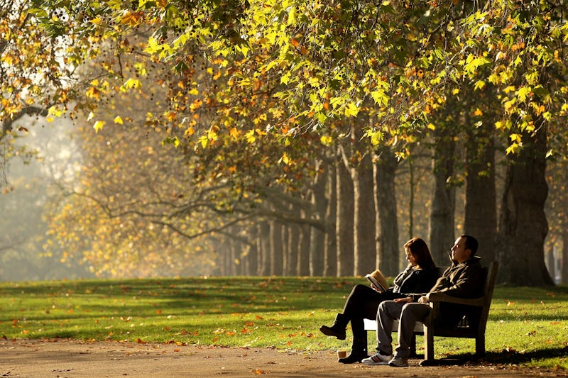 It's Pumpkin Spice Latte Season: 19 Reasons Why Fall Is The Most Basic ...