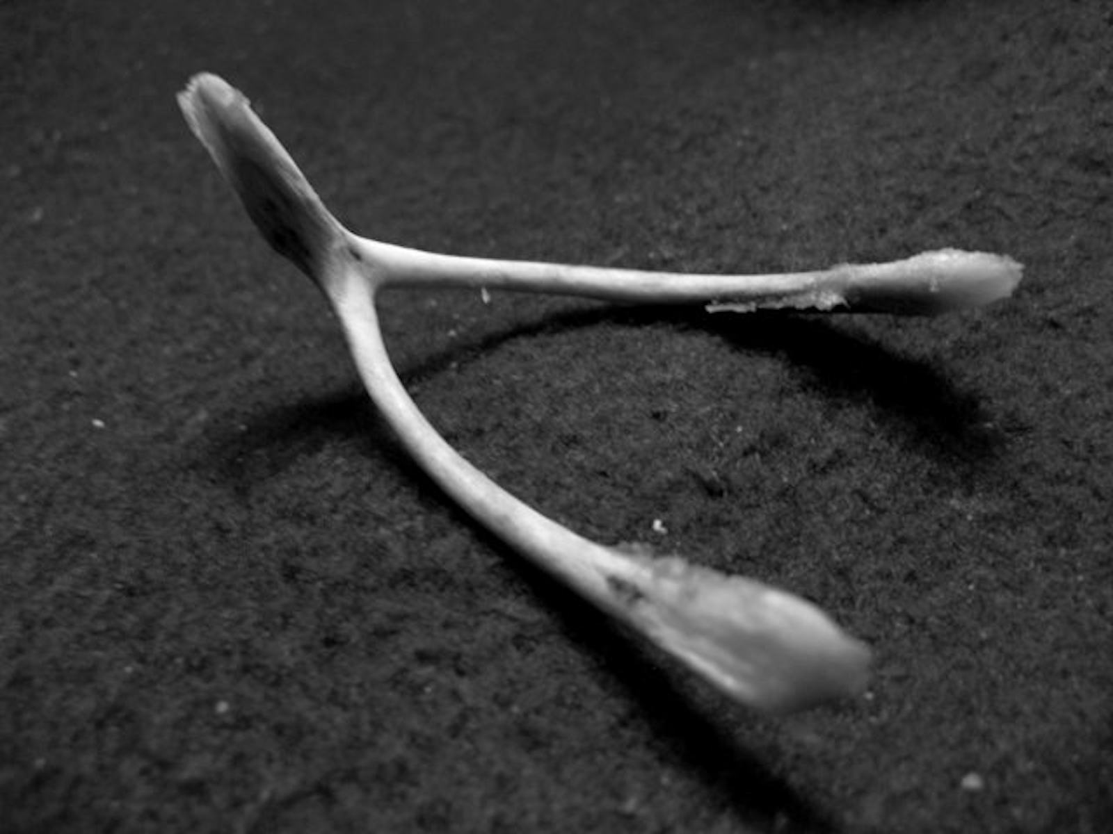 6 Turkey Wishbone Facts That Might Surprise You, Because This ...