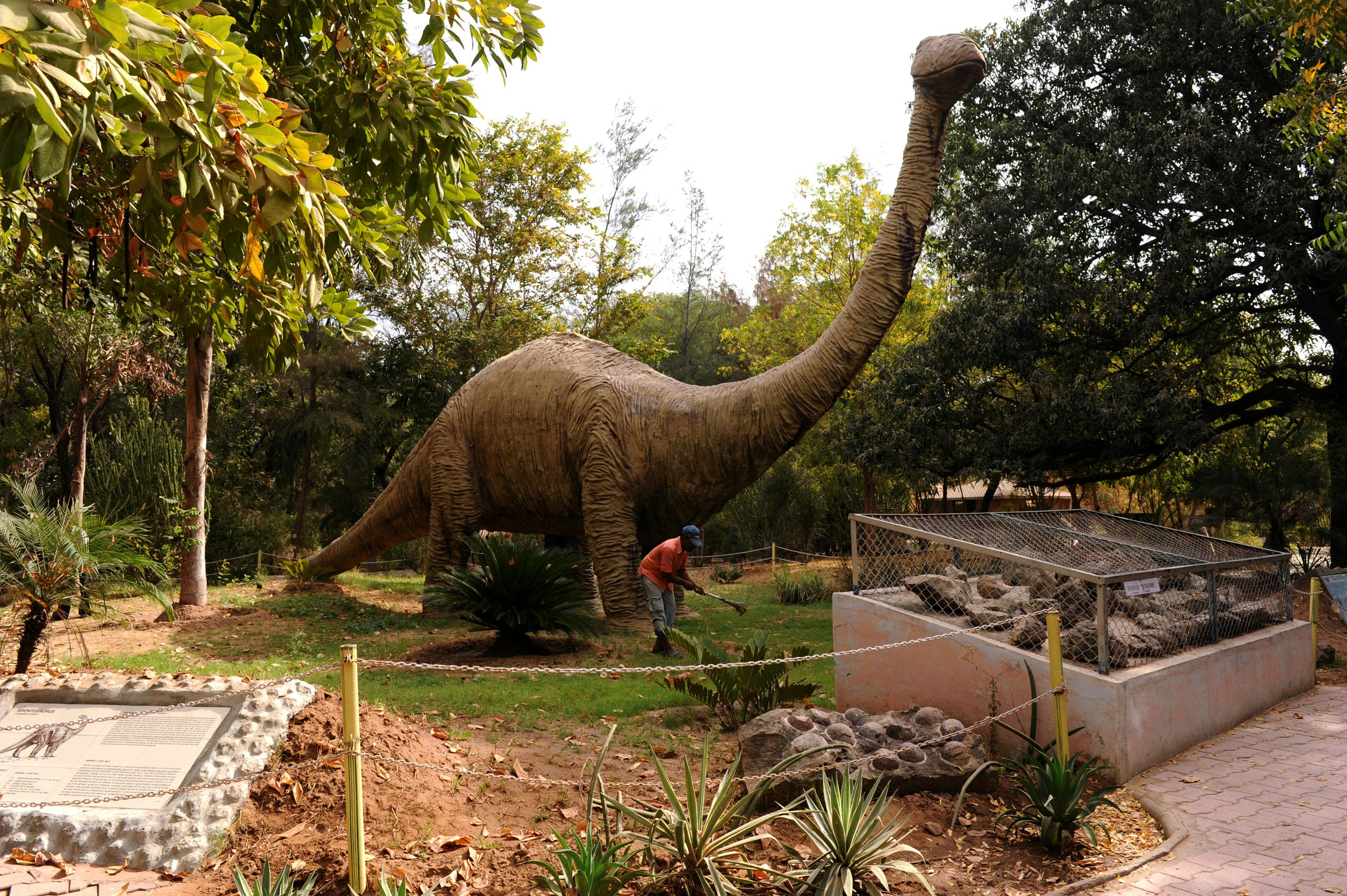 The Brontosaurus Is Back, Baby, After A Century-Long Battle With The ...