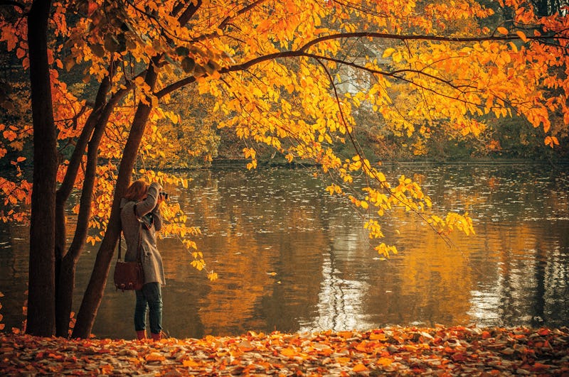 Can't Wait For Fall To Arrive? 8 Signs That Autumn Is Definitely Your ...