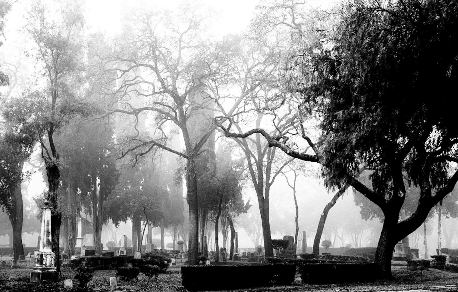 The 6 Weirdest Deaths Of The Past 10 Years Show That Anything Could ...