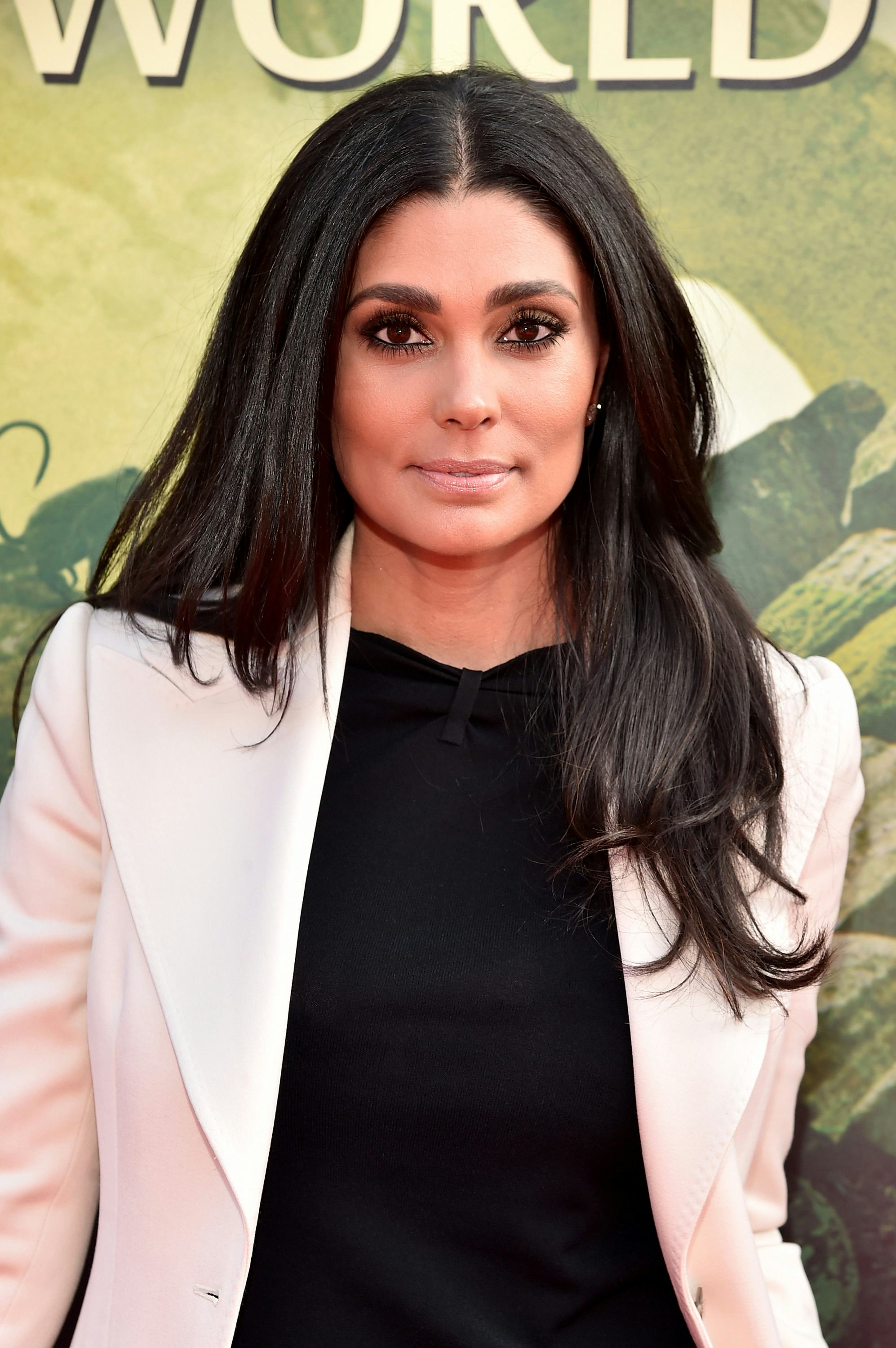 Who Is Rachel Roy? The Fashion Designer May Be "Becky With The Good Hair"