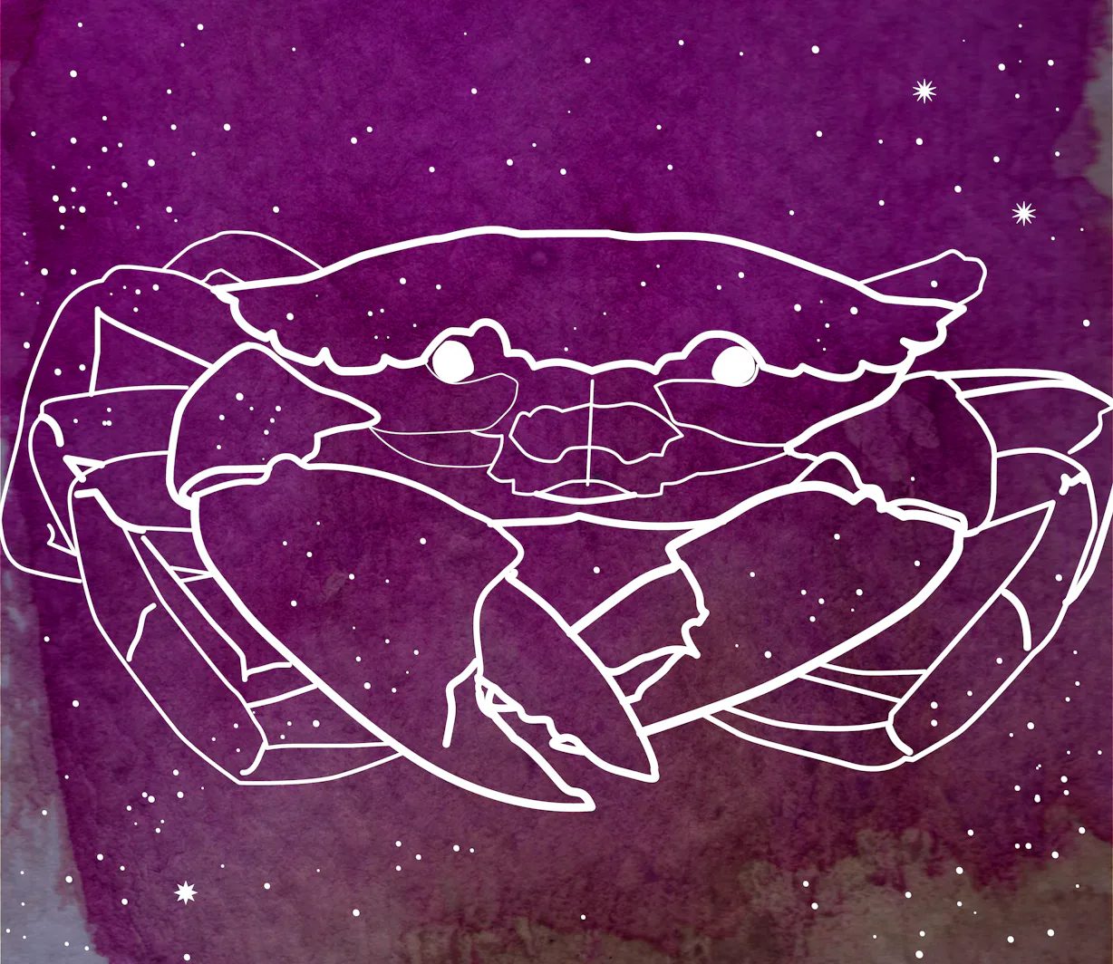What Does 5 Planets Being Retrograde Mean For Cancer A Bit Of A Roller what-does-5-planets-being-retrograde-mean-for-cancer-a-bit-of-a-roller