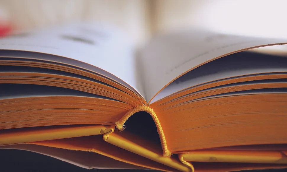 Share It Saturday 10 Signs You Should Give Up On A Book You re In The Share It Saturday 10 Signs You Should Give Up On A Book You re In The