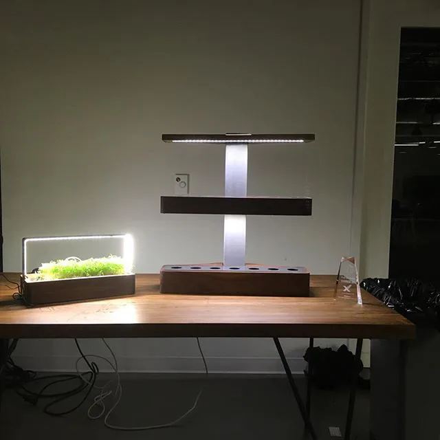 Where To Buy Edn WallGarden From 'Shark Tank' So You Can Easily Green ...