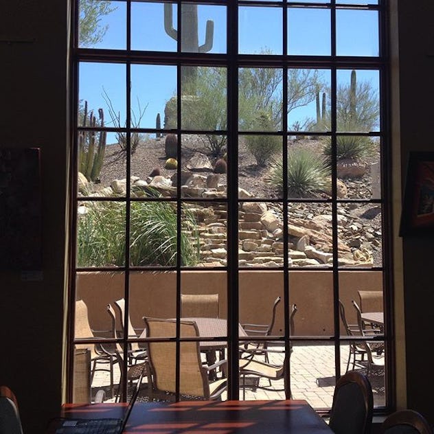 The Most Gorgeous Libraries In Every Single State, Just In Time For ...