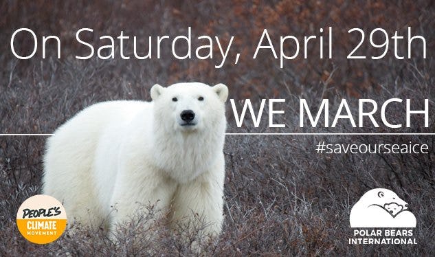 19 Creative People's Climate March Sign Ideas, Because Climate Change ...