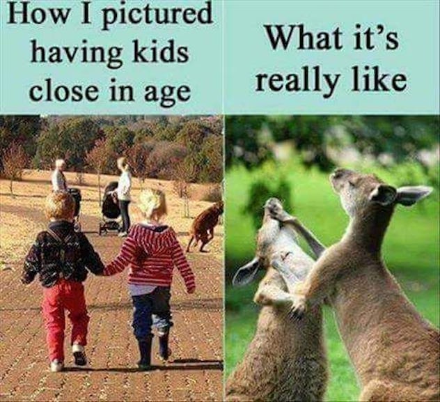 21 Raising Toddler Memes That Every Parent Gets