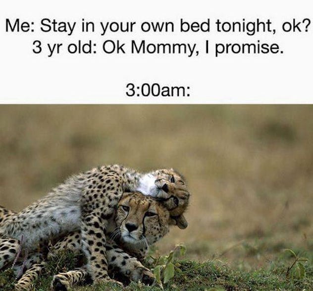 21 Raising Toddler Memes That Every Parent Gets