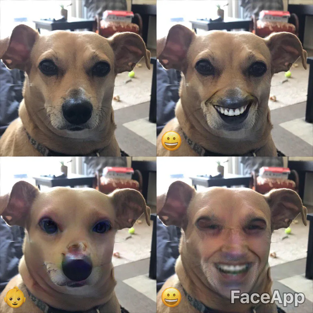 18 Best FaceApp Tweets & Memes That Are Proof Everyone Loves The App As ...