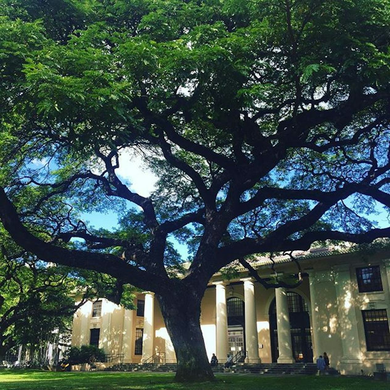 The Most Gorgeous Libraries In Every Single State, Just In Time For ...