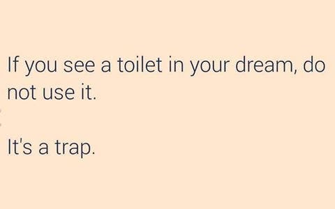 13 Potty Training Memes That'll Make You Laugh Through The Struggle