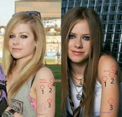 All The Avril Lavigne Conspiracy Theory "Evidence" People Are Using To ...
